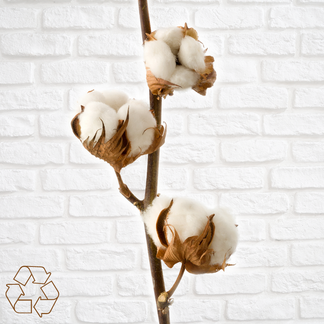 RONAIN-Herrenhemden im Trend | Offizielle Seite – Ronain